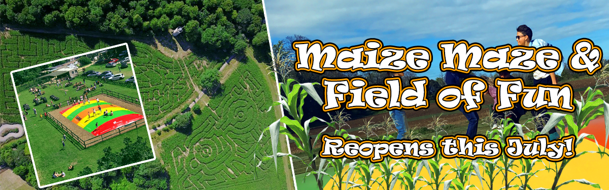 Quex Activity Centre | Events, Group Bookings, Kids Parties Thanet